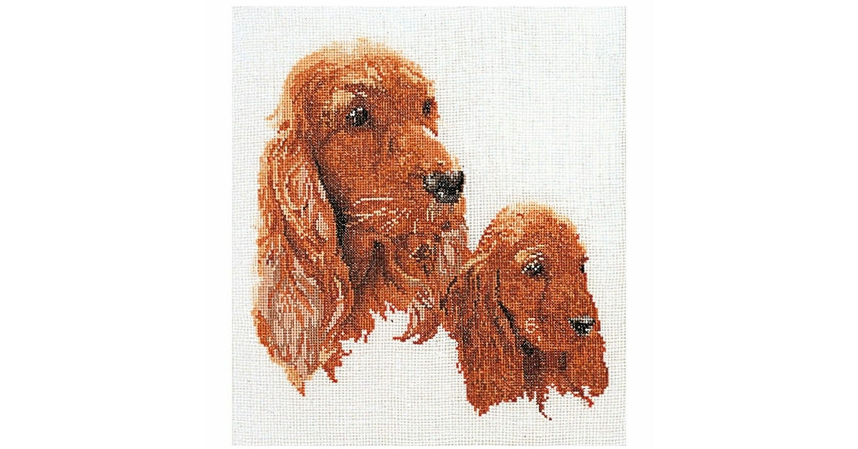 Thea Gouverneur 936 Aida Cocker anglais kit point de croix